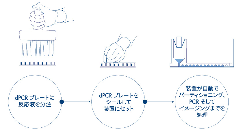 デジタルPCR QIAcuity One 導入サポートプログラムのご案内